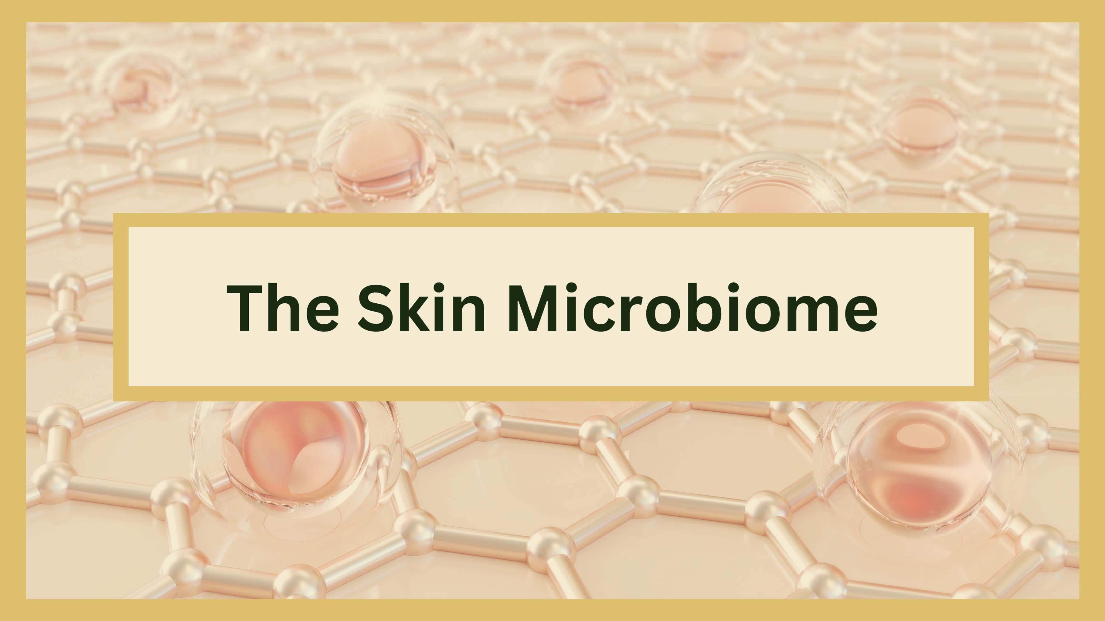The Skin Microbiome: Your Skin's Ecosystem